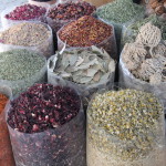 Sightseeing in Dubai on Local Transport - Routes and Trips