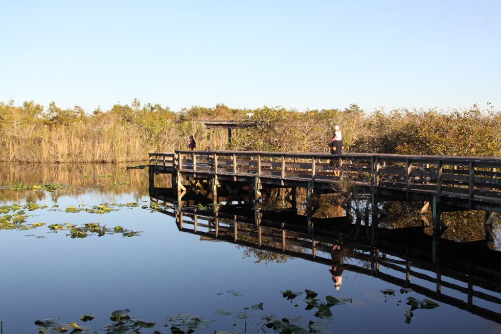 Walking Trails in the Everglades - Routes and Trips