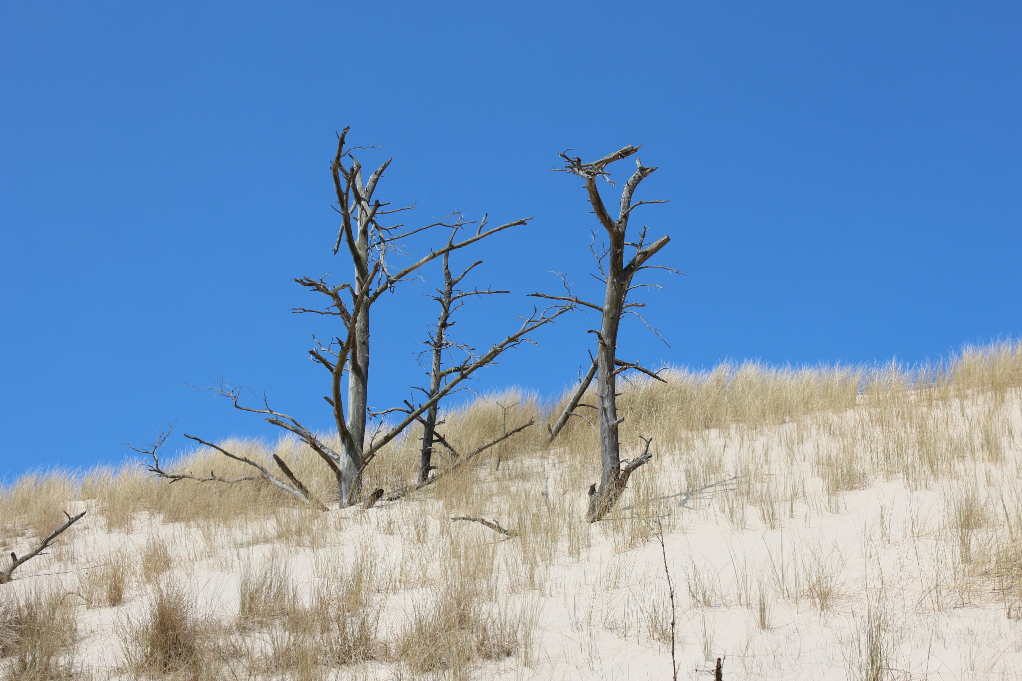 Slowinski National Park Sand Dunes - Routes and Trips